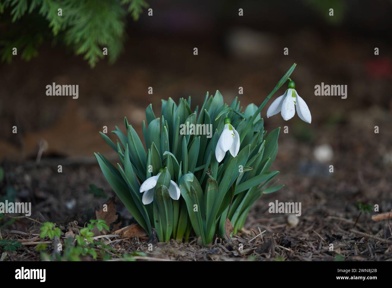 Winter is ending and Spring is waking up, and with spring comes fragile ...