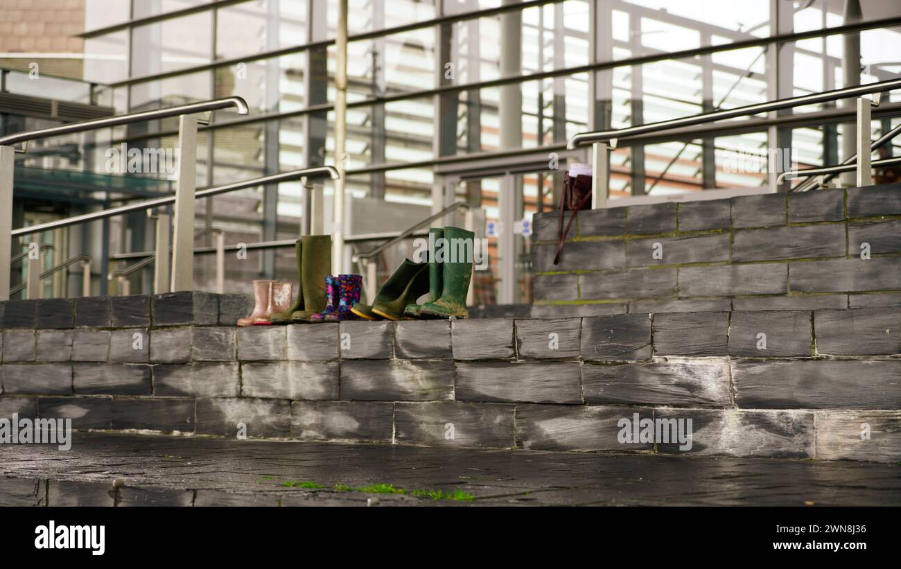 Welsh Farmers Protest at the Senedd, Cardiff Stock Photo - Alamy