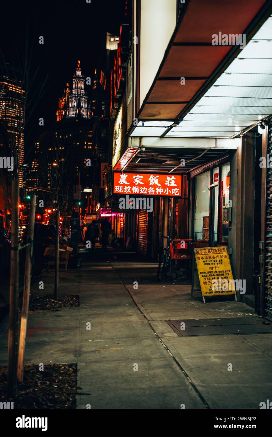 A night view of New York's bustling Chinatown and Bronx, with ...