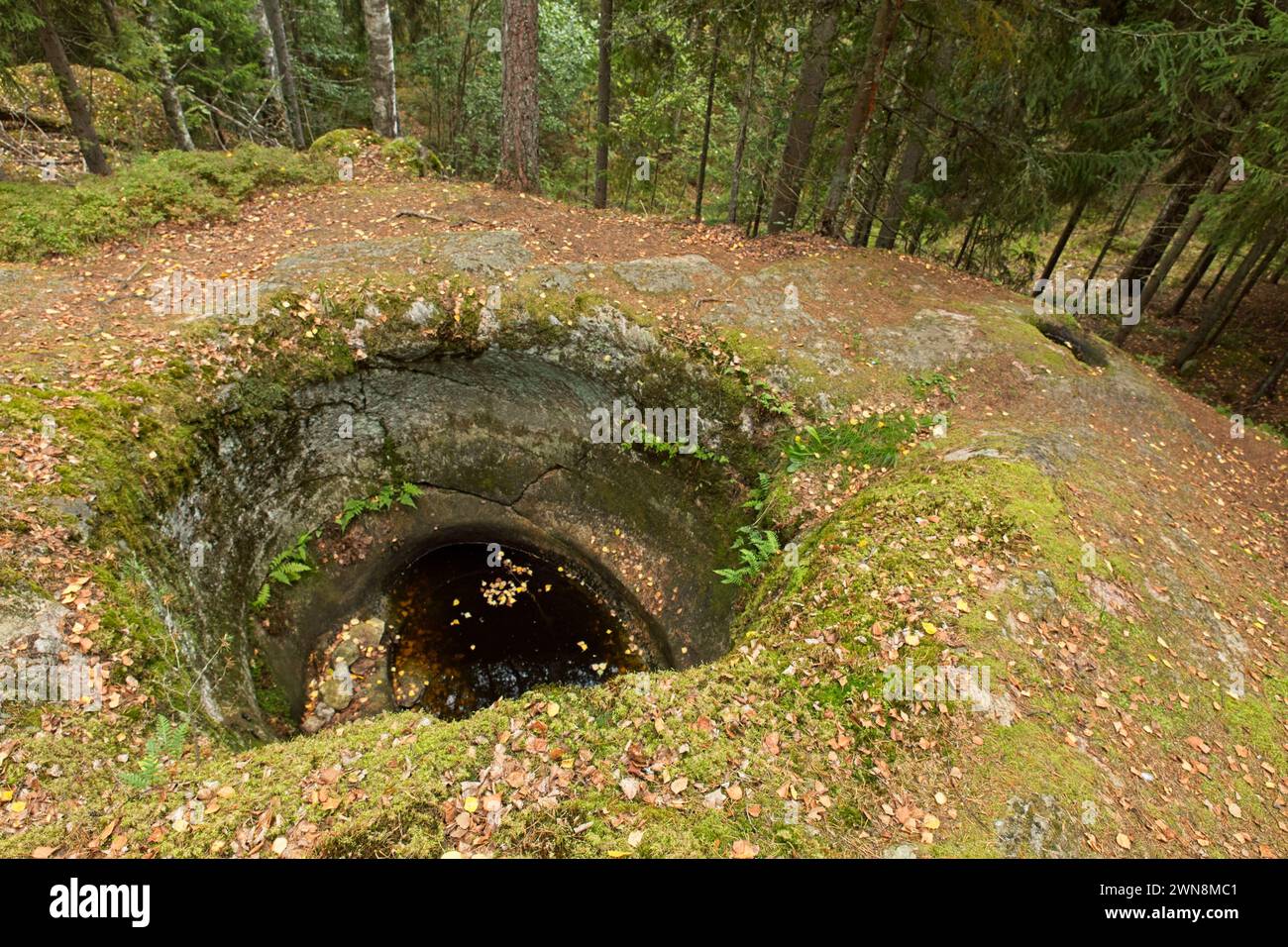 Talvia hi-res stock photography and images - Alamy