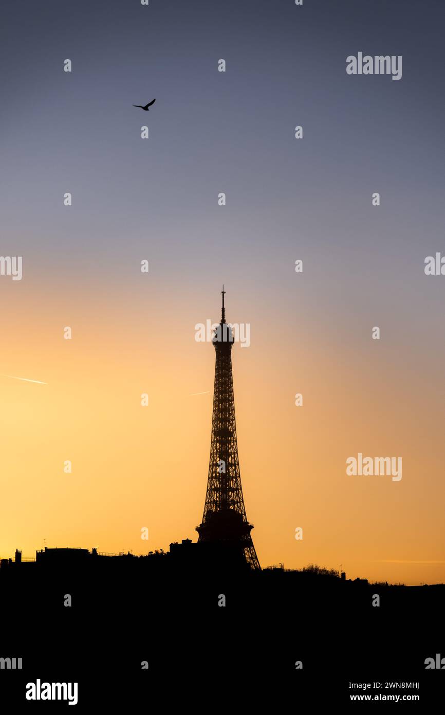 The Eiffel Tower in Paris at sunset with a bird flying in the sky Stock ...
