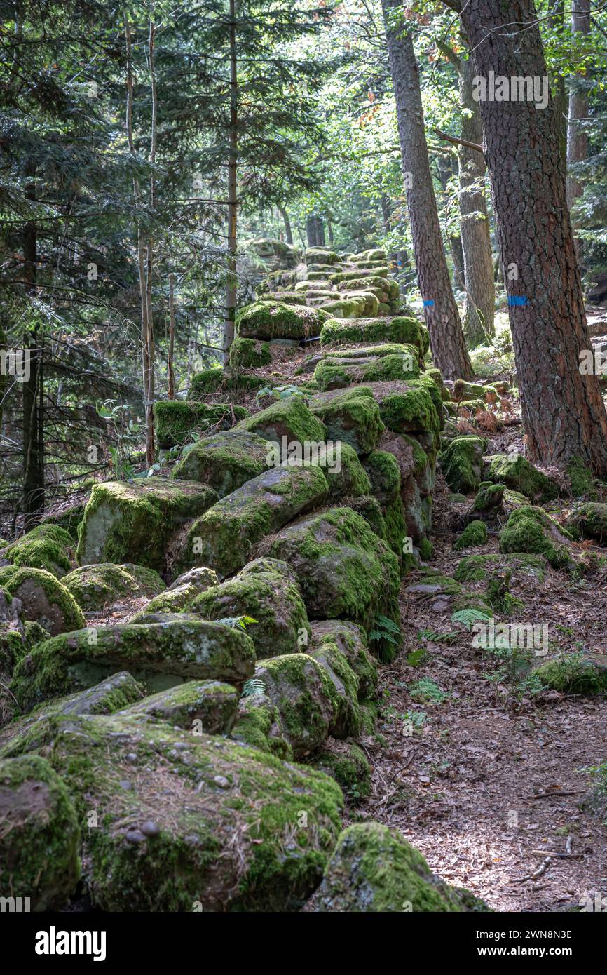 Path of the Gauls. View of the pagan stone wall , stairs and trees ...