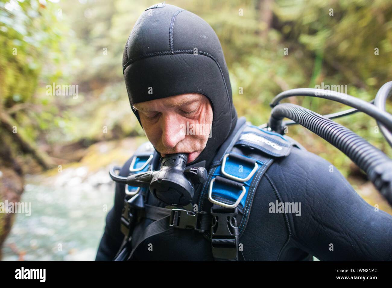 Scuba diver checking regulator and equipment prior to his dive Stock ...