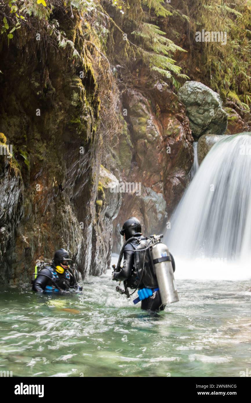 Team of divers use metal detecting equipment to find gold in a river ...