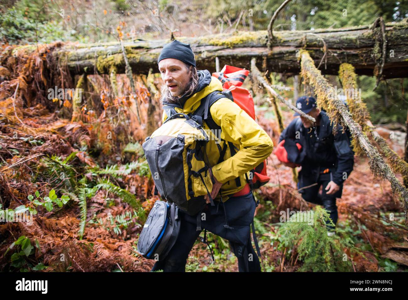 Active man hiking, hauling gear through forest Stock Photo - Alamy