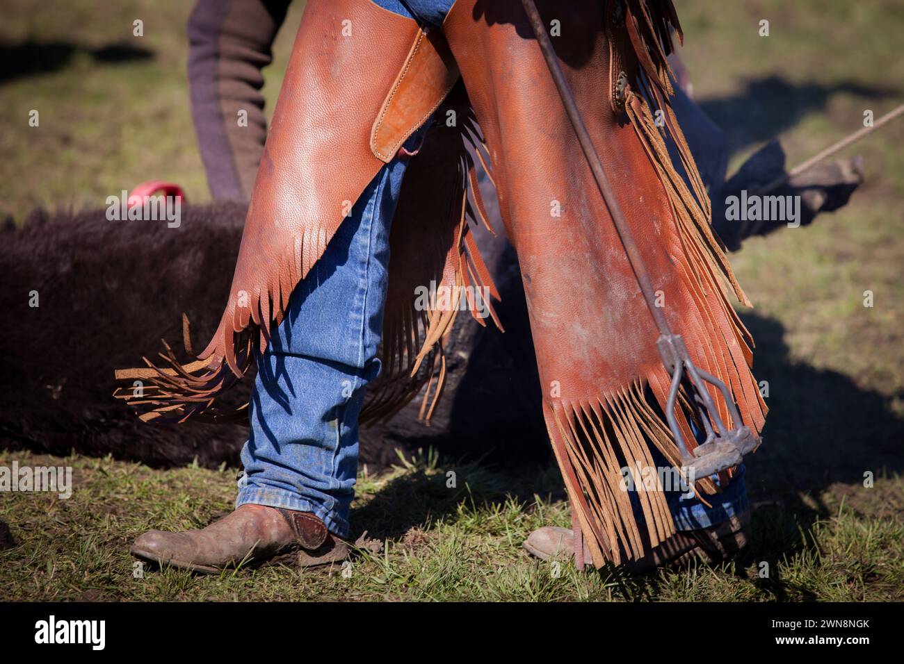 Working cowboy tools hi-res stock photography and images - Alamy