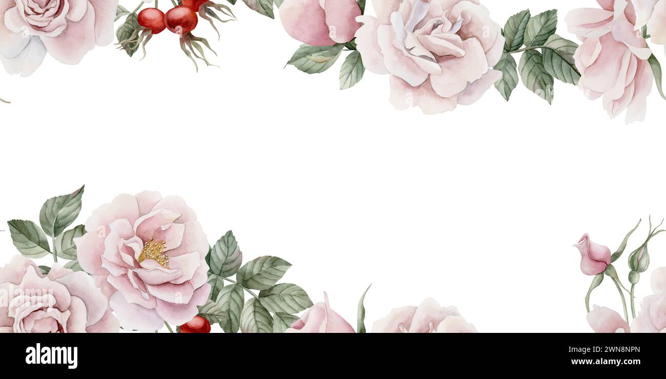 Horizontal frame of pink rose hip flowers, buds, leaves and berries ...