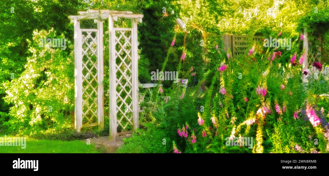 Plants for structure hi-res stock photography and images - Alamy