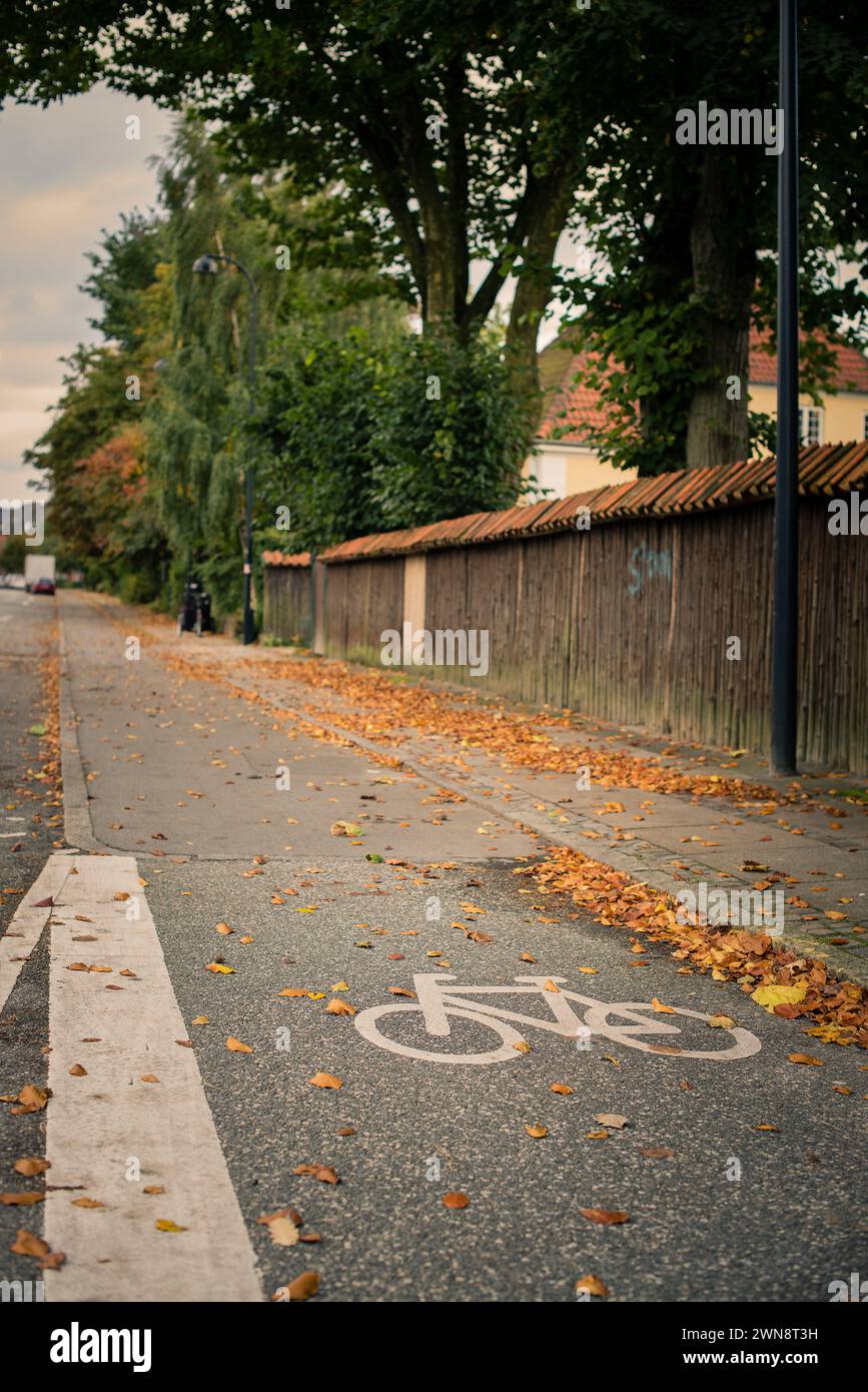 Bicycle Path in Autumn, Copenhagen, Denmark Stock Photo - Alamy
