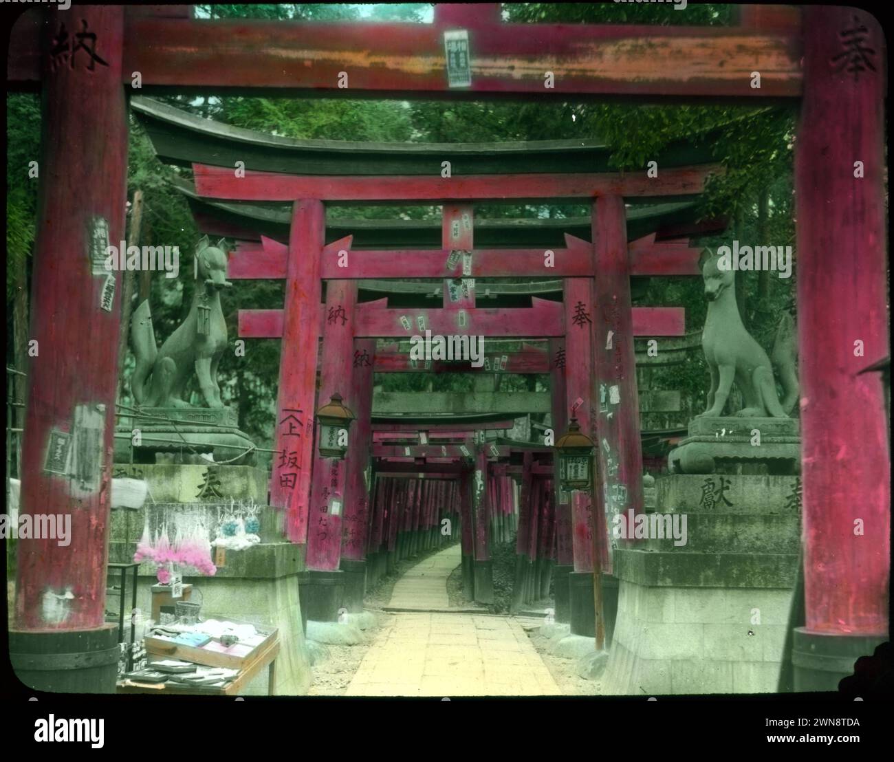 Series of red wooden gatewaysm Torii gates, with stone animals on side ...
