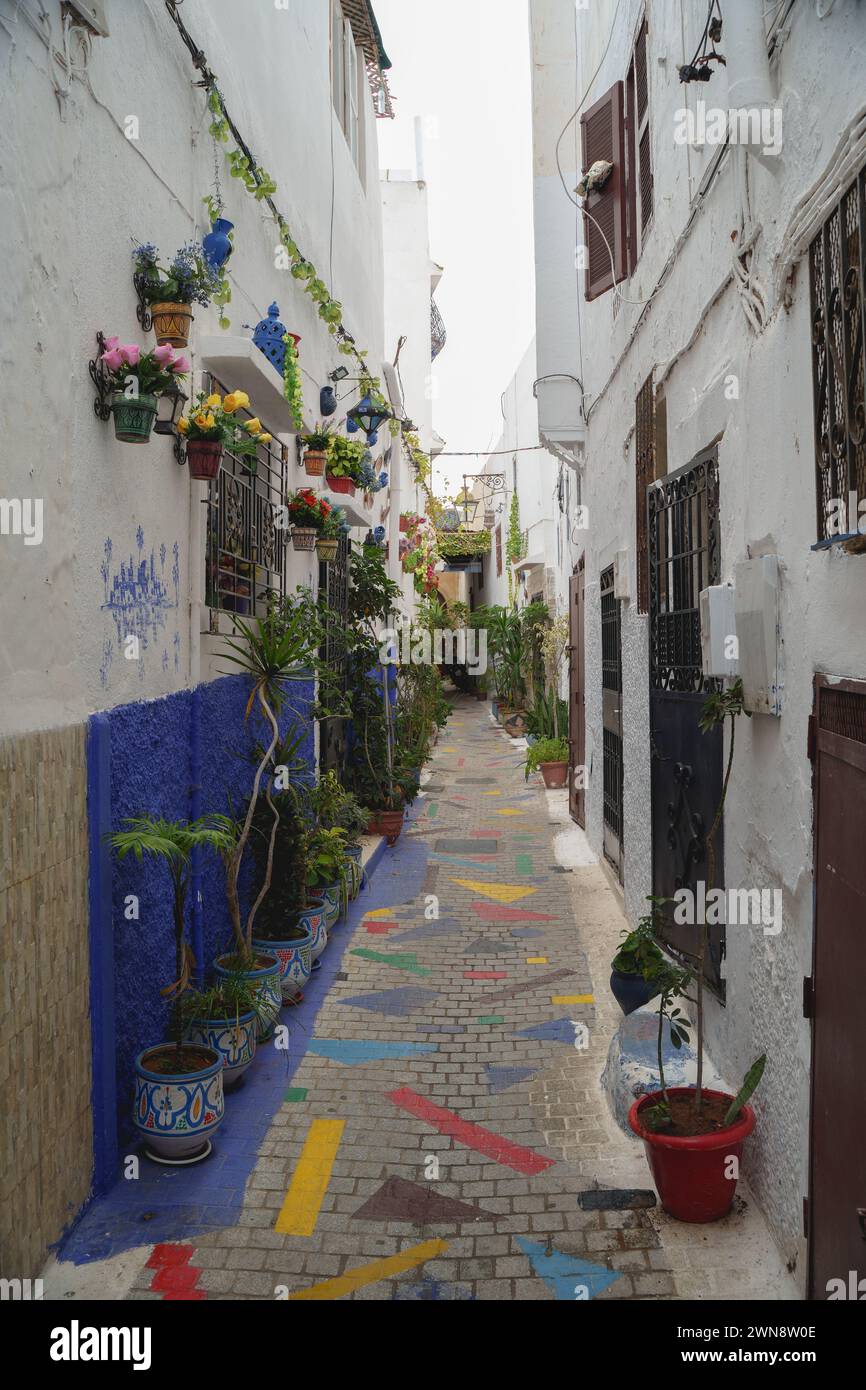 Colorfull street plant flower white walls Stock Photo - Alamy