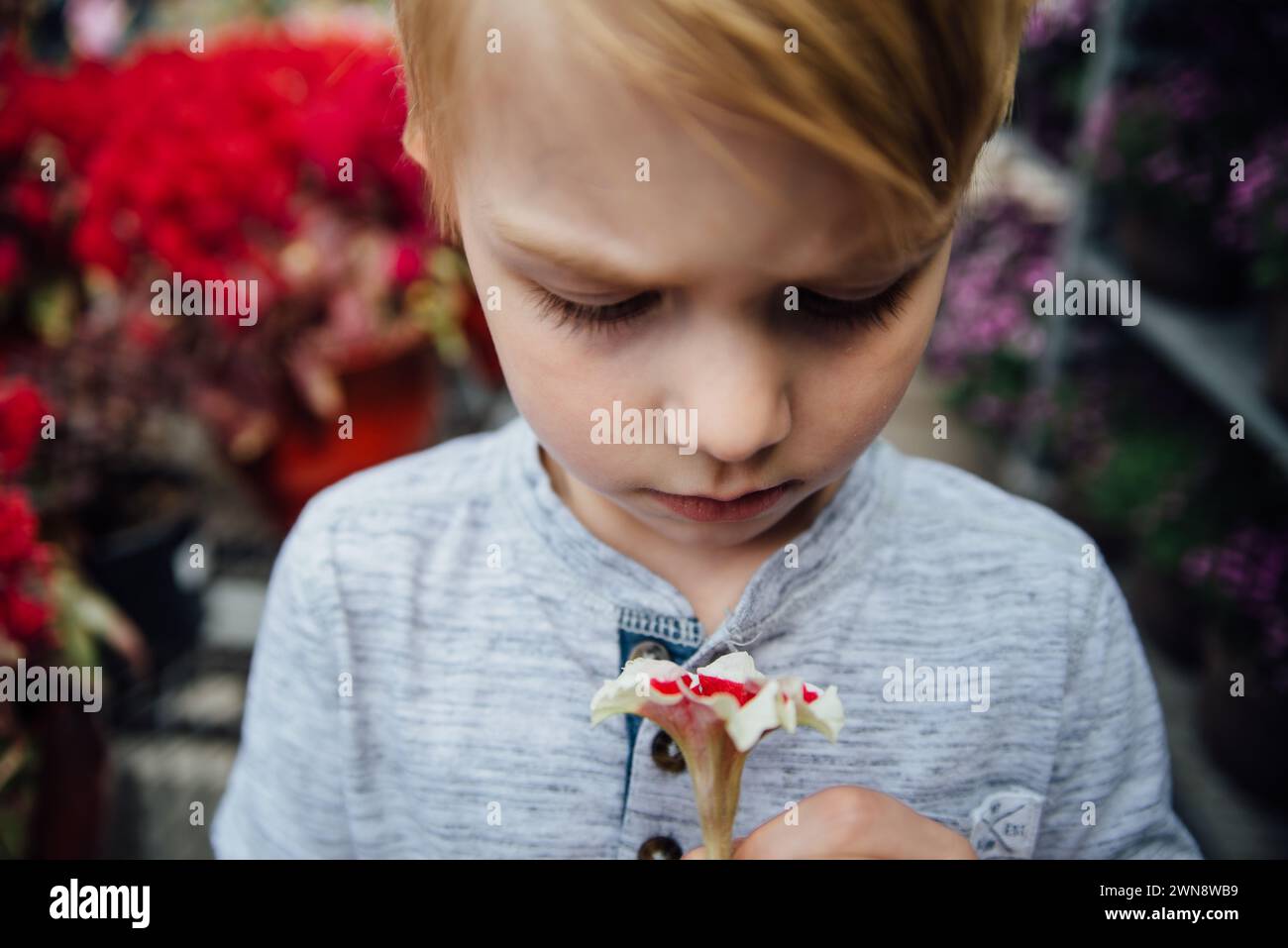 Child planting flowers hi-res stock photography and images - Alamy