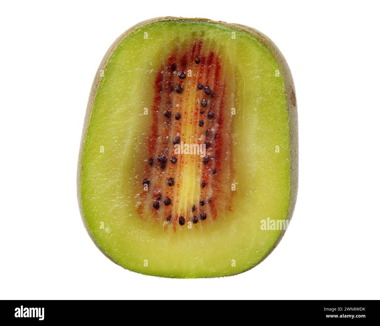 Whole kiwi fruit and his sliced segments isolated on white background ...