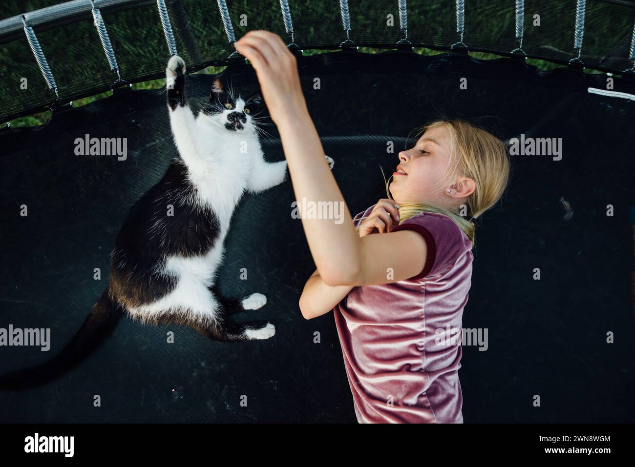 Overhead view of girl playing with cat on trampoline in summer Stock ...