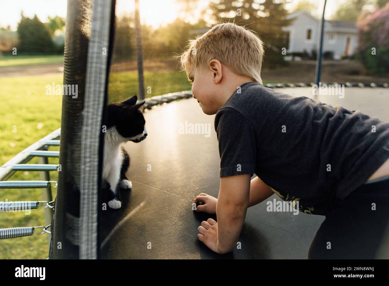 Young boy and cat sitting together on trampoline in summer Stock Photo ...