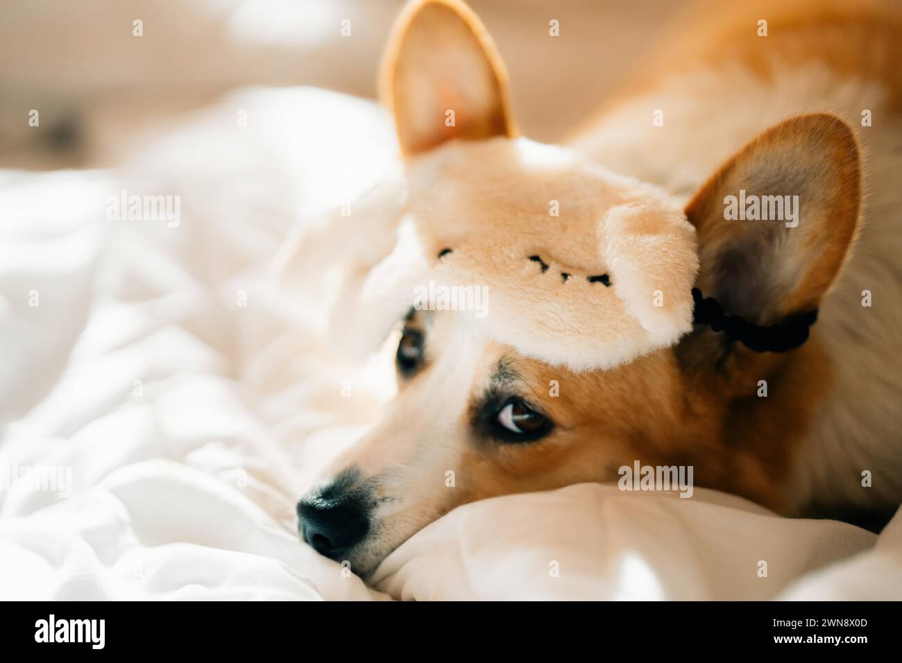 Sunny mask hi-res stock photography and images - Alamy