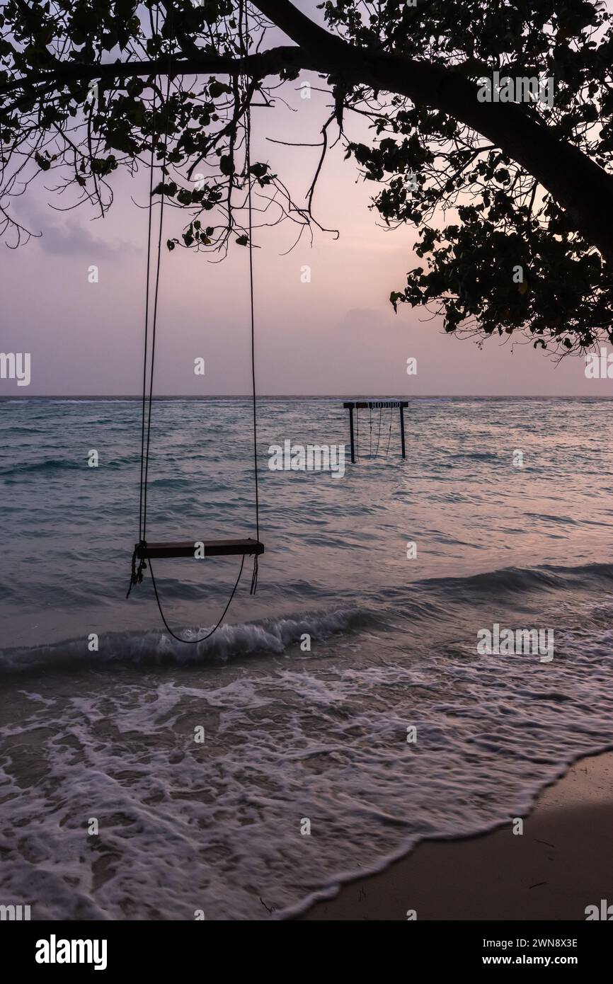 Two rope swings above the sea on a beach on Thoddoo Island (Maldives ...