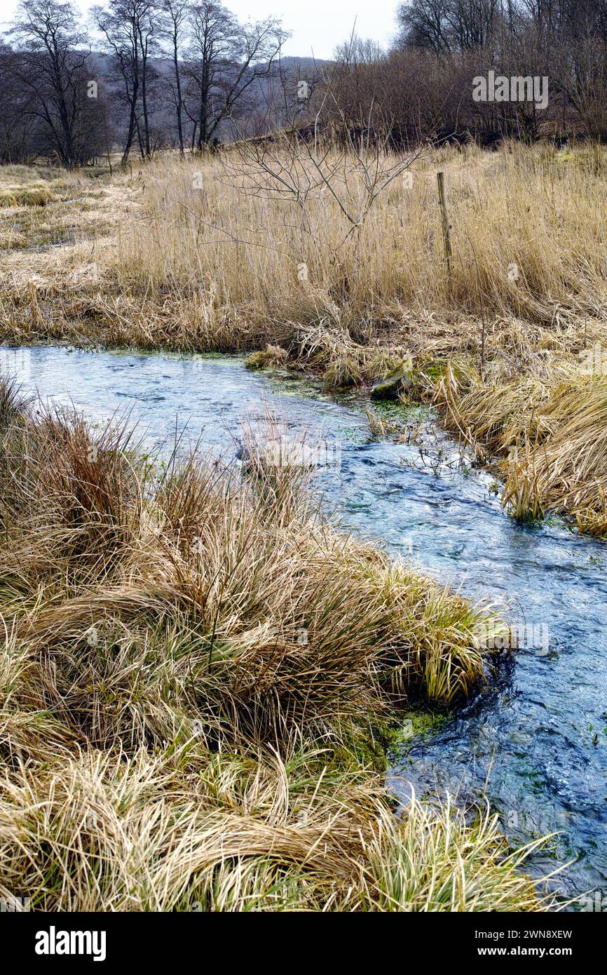 Nature, field and river with trees for environment, ecosystem and ...