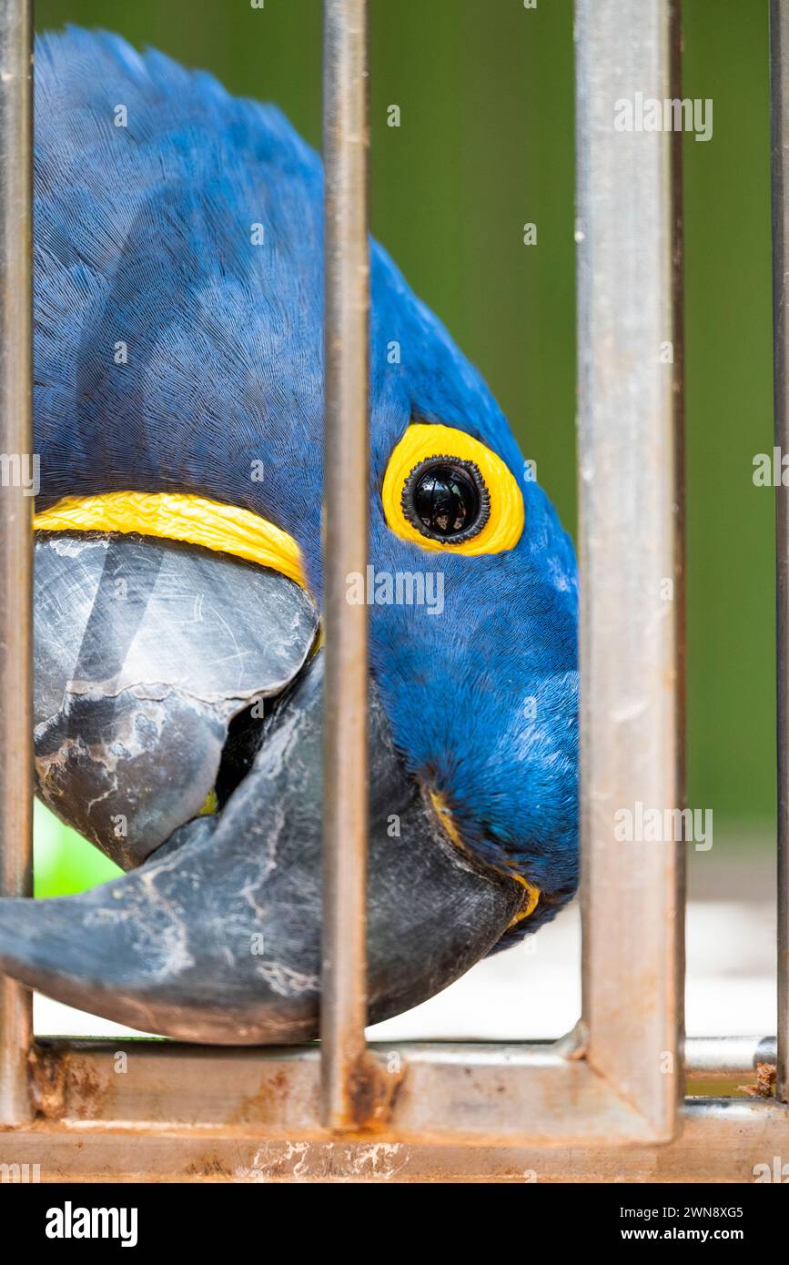 Puerto rico blue hi-res stock photography and images - Alamy