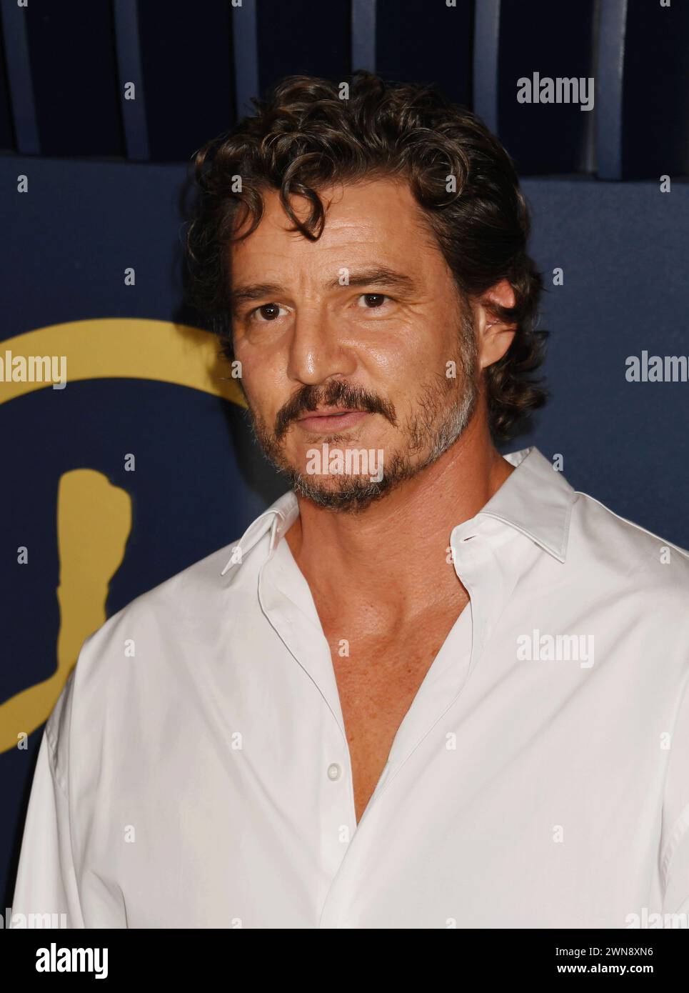 LOS ANGELES, CALIFORNIA - FEBRUARY 24: Pedro Pascal attends the 30th ...