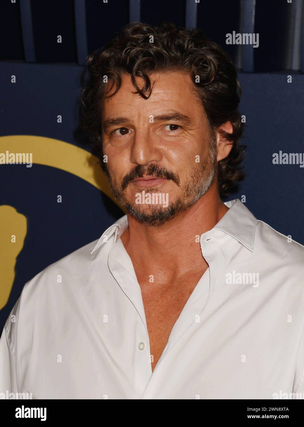 LOS ANGELES, CALIFORNIA - FEBRUARY 24: Pedro Pascal attends the 30th ...