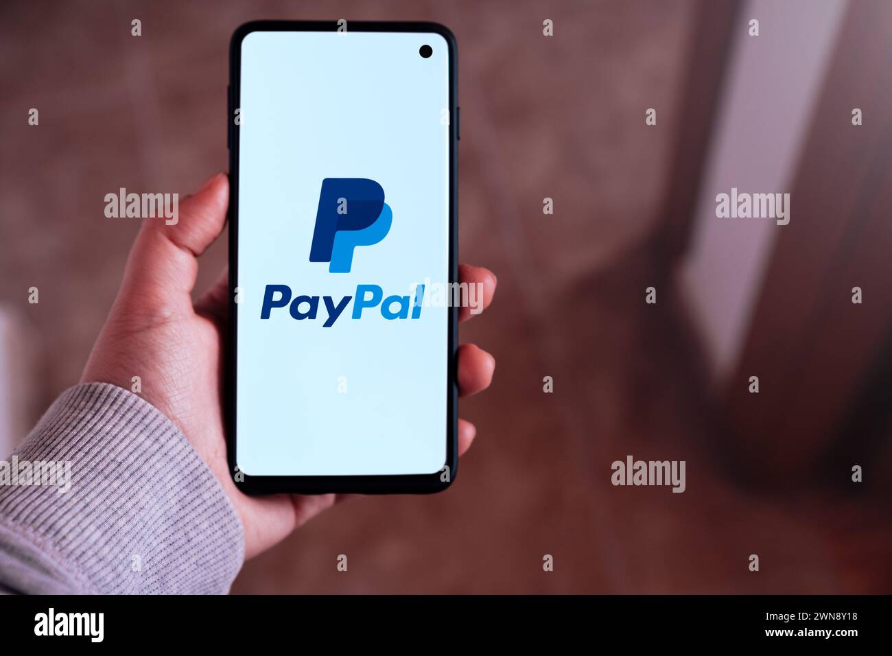 Pal technology logo hi-res stock photography and images - Alamy