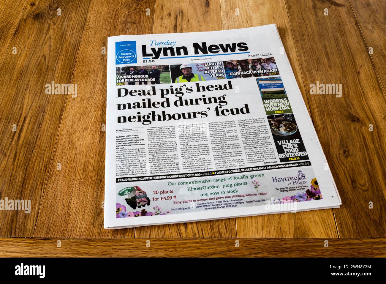 27 February 2024. Headline on local paper Lynn News reads: Dead pig's ...
