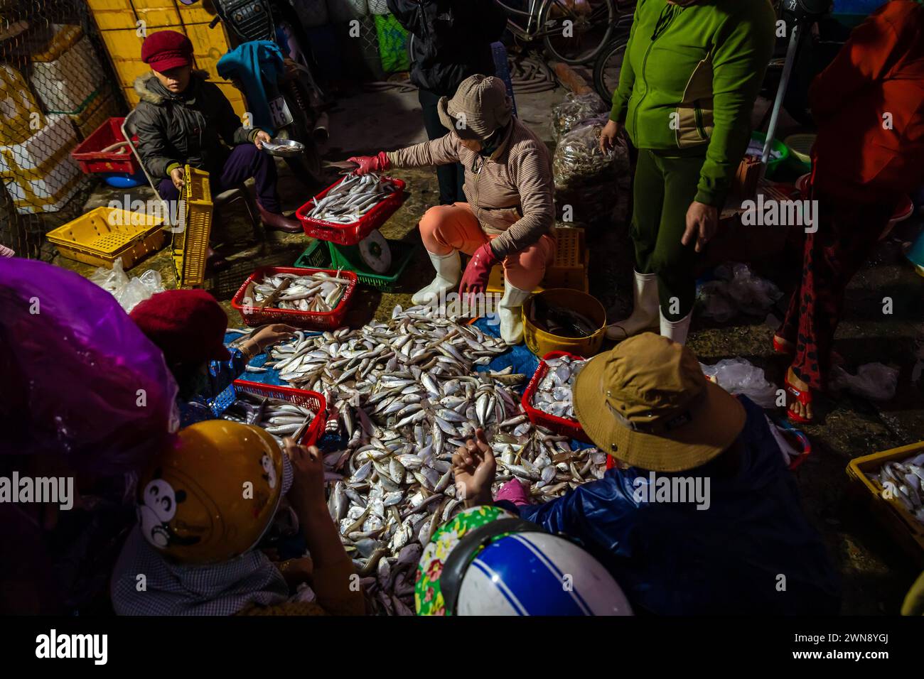 The fish market at the harbor of Hoi An in Vietnam Stock Photo - Alamy