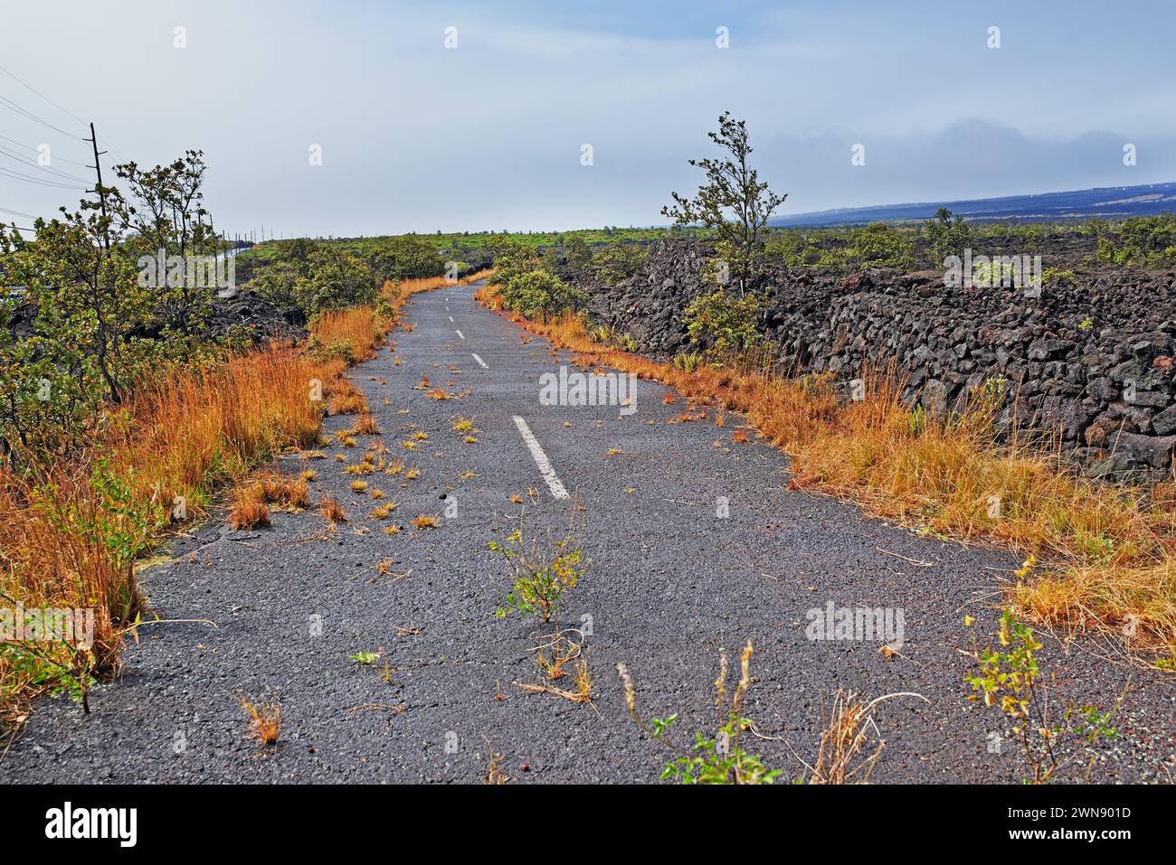 Road, landscape and volcano street in nature with lava rocks, plants ...