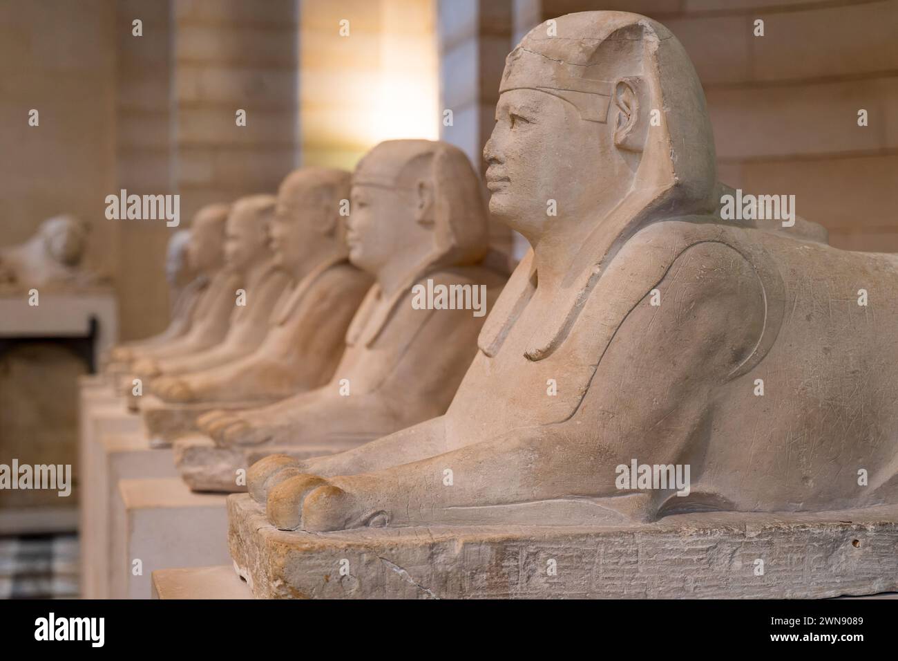 Six sphinxes Serapeum at Saqqara, Louvre museum, Paris Stock Photo - Alamy