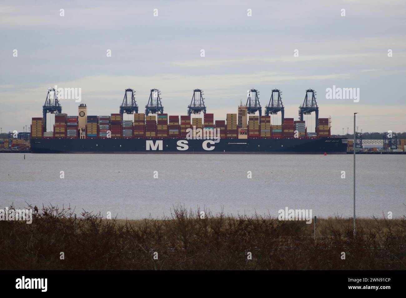 Msc raya hi-res stock photography and images - Alamy