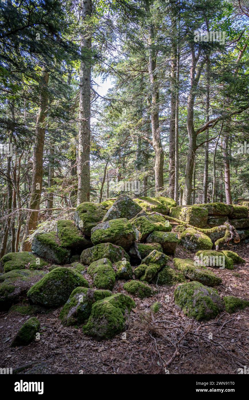 Path of the Gauls. Panoramic view of rocks and trees on top of the ...