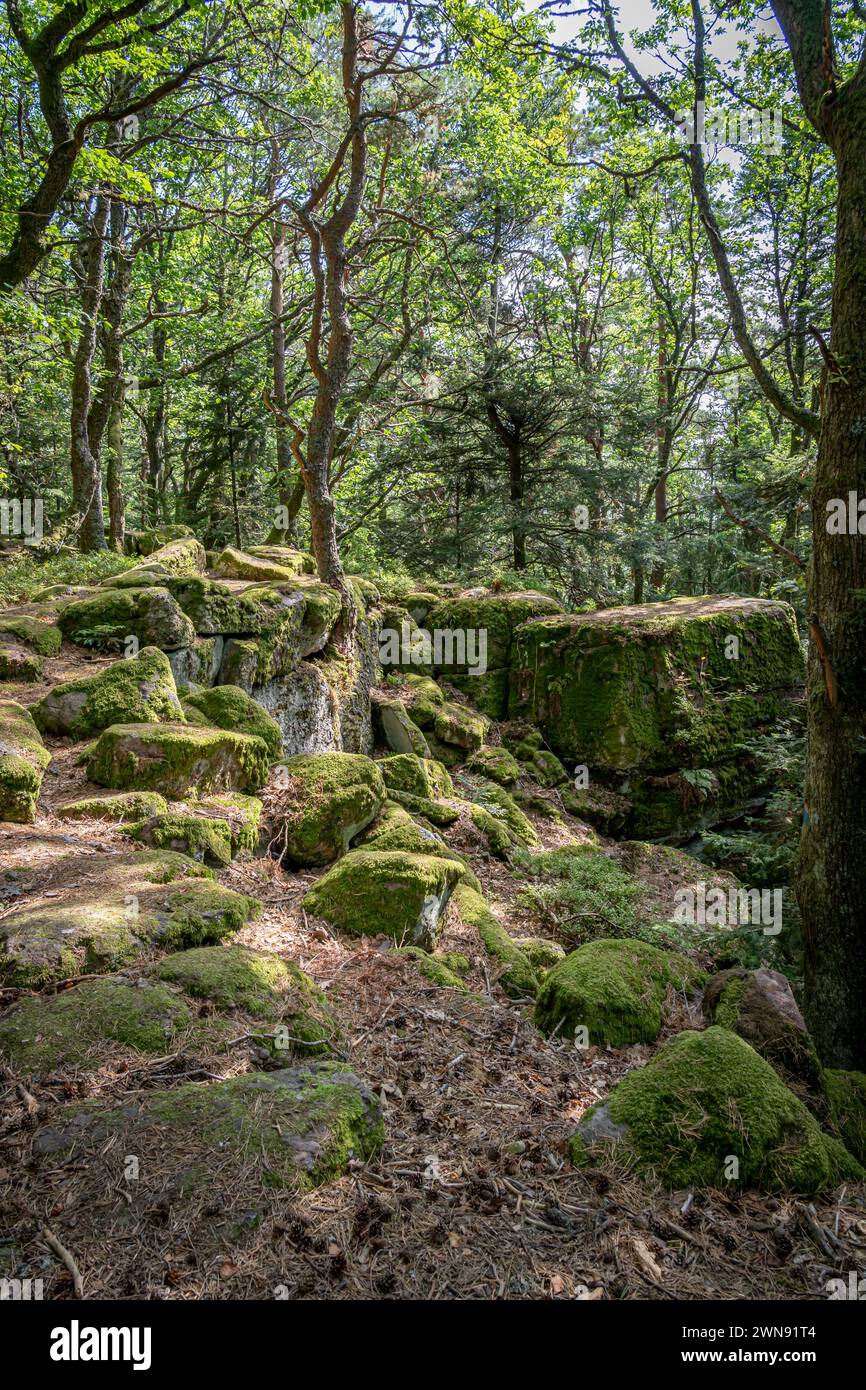 Path of the Gauls. Panoramic view of rocks and trees on top of the ...