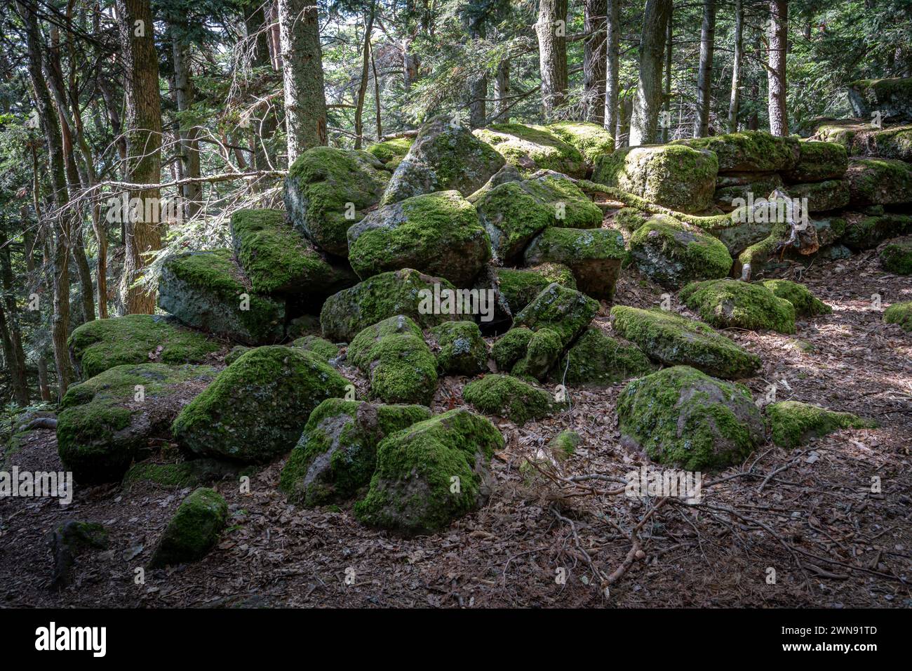 Path of the Gauls. Panoramic view of rocks and trees on top of the ...