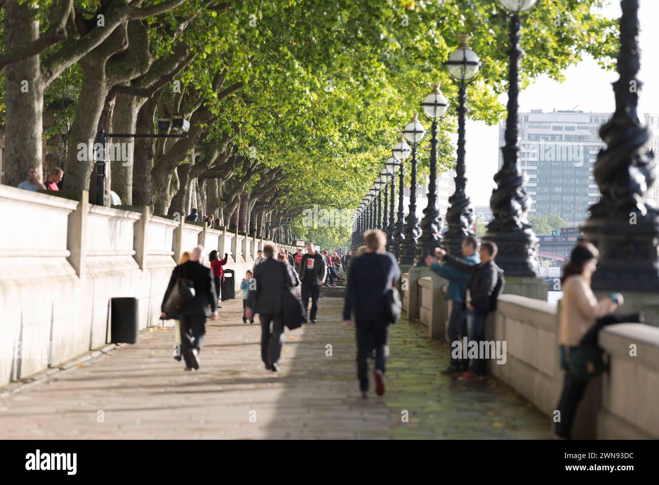 UK, London, the Albert Embankment/Thames path, near Westminster Bridge ...
