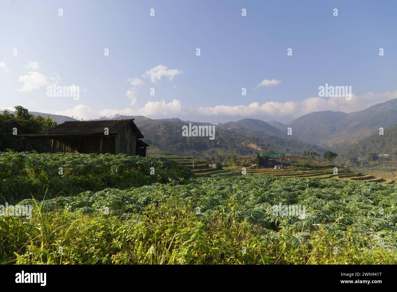Sapa countryside landscape in Vietnam Stock Photo - Alamy
