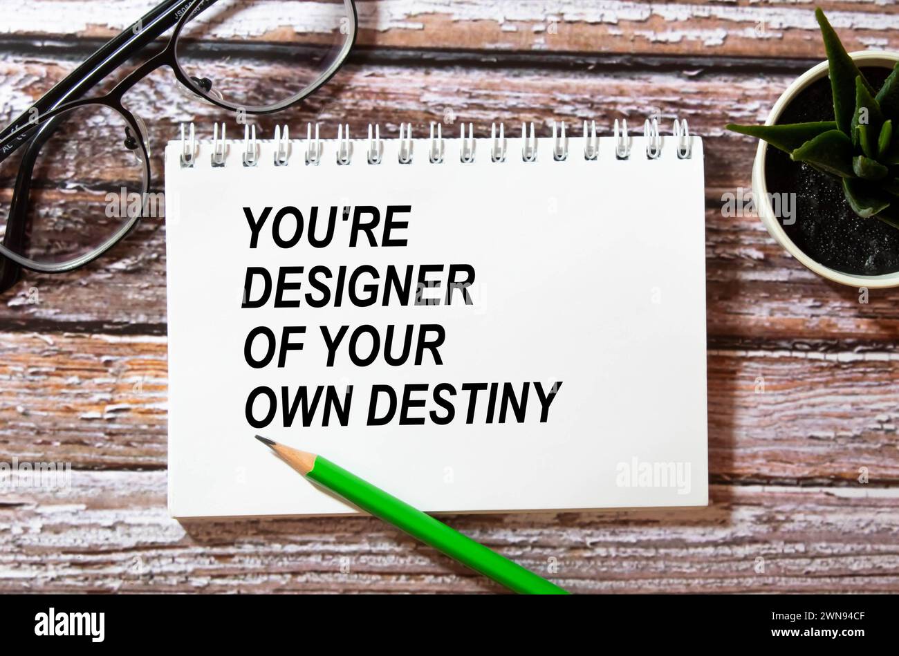 Text written on asphalt hi-res stock photography and images - Alamy