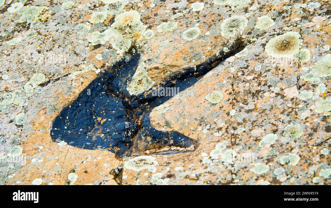 Icnite hi-res stock photography and images - Alamy