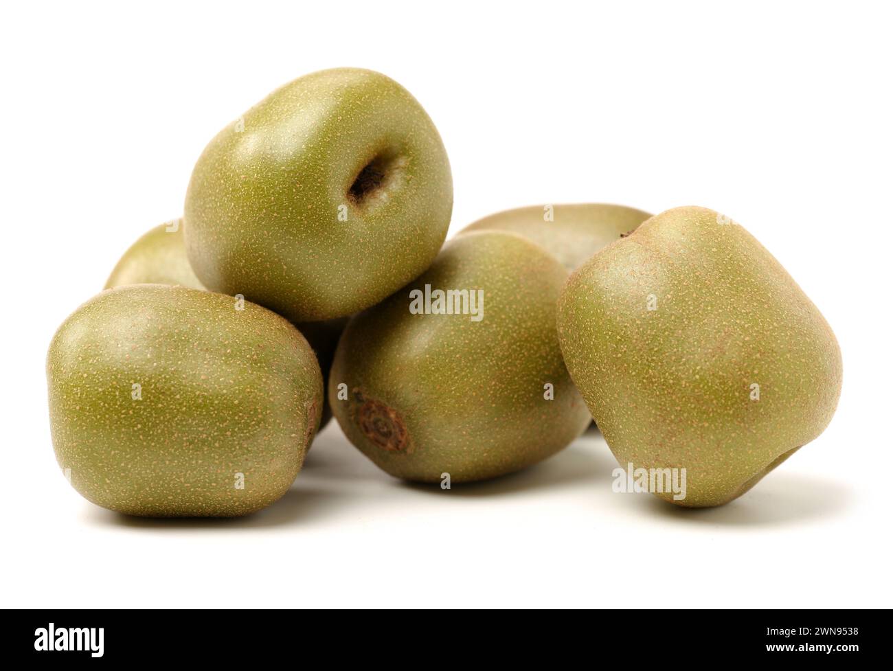 Whole kiwi fruit and his sliced segments isolated on white background ...