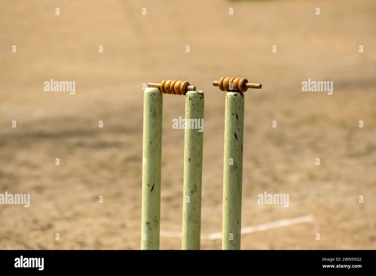 Cricket stump during lunch time Stock Photo - Alamy