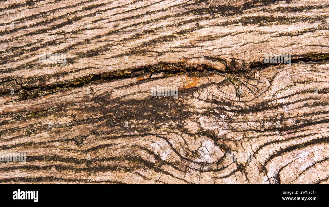 Weathered Wood Textured Abstract Background Design Stock Photo - Alamy