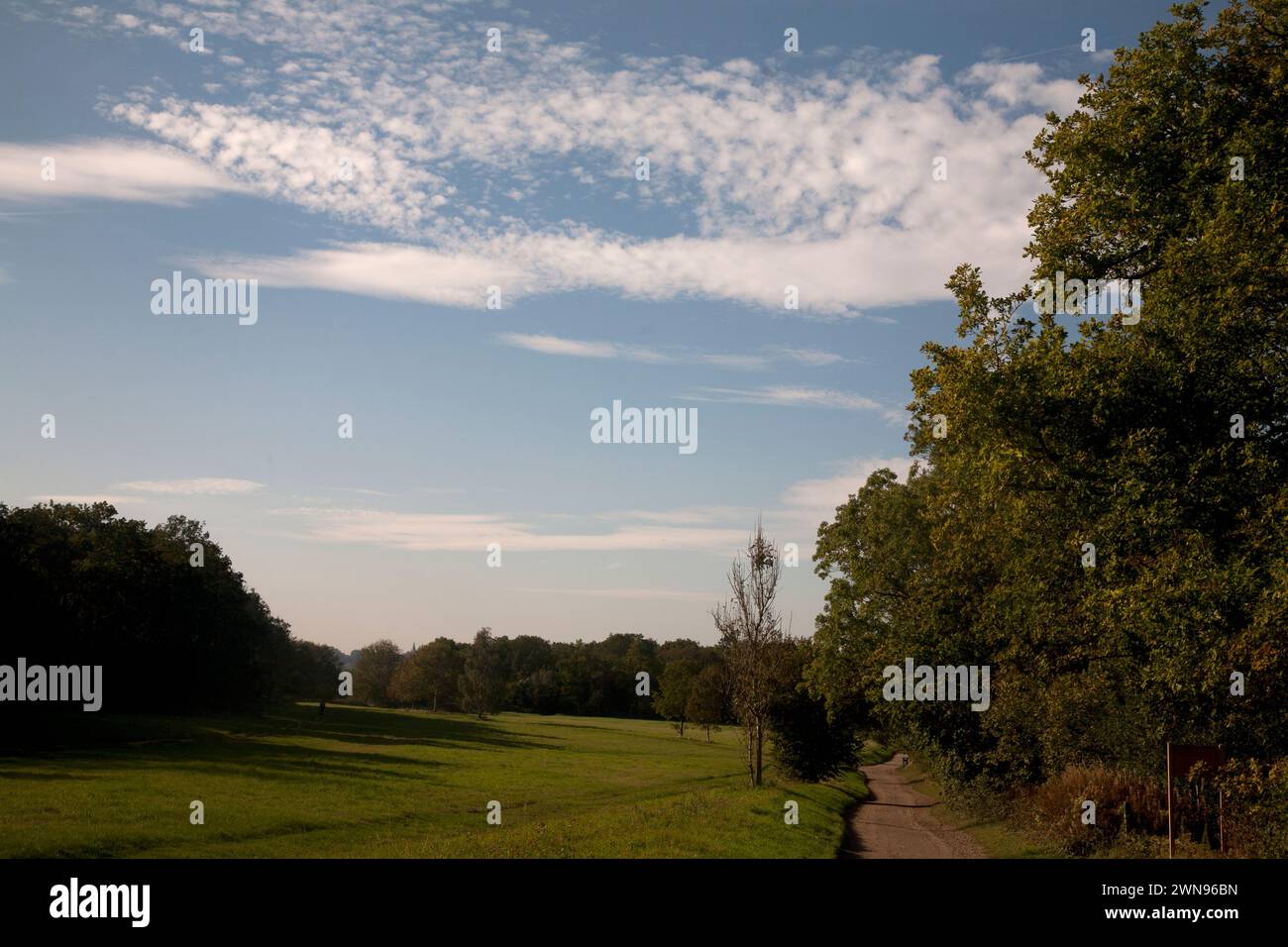 landscape epsom downs surrey england Stock Photo - Alamy