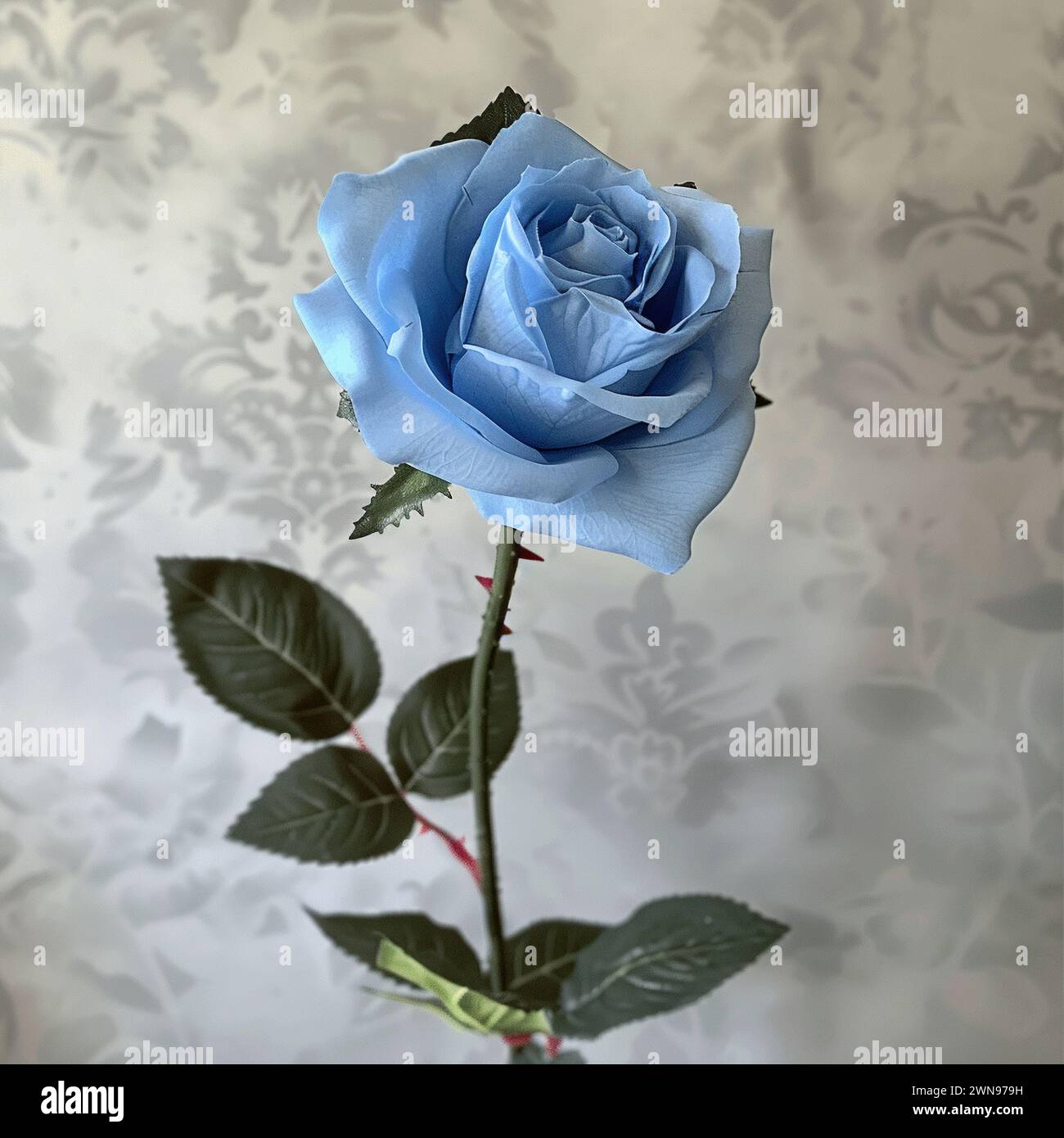 Royal blue rose hi-res stock photography and images - Alamy