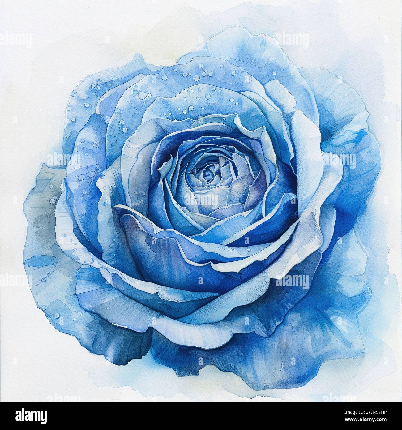 Blue rose bouquets hi-res stock photography and images - Alamy