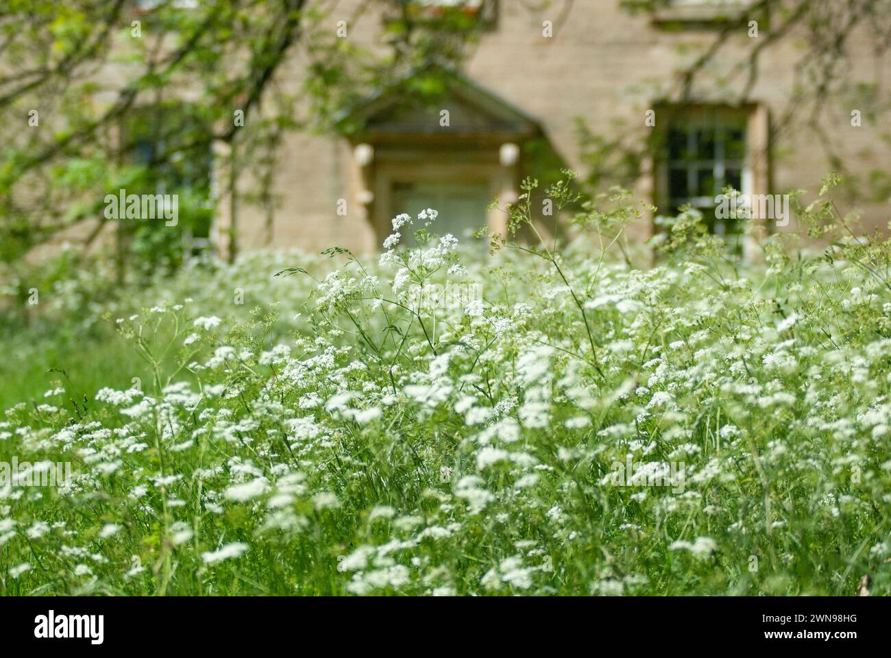 Great Linford Manor House, Great Linford, Milton Keynes ...