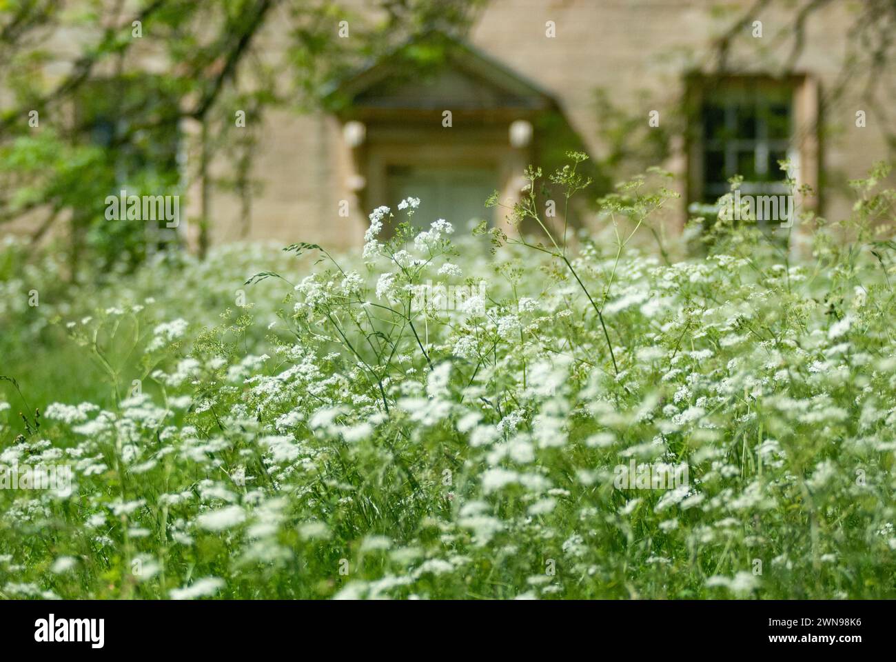 Great Linford Manor House, Great Linford, Milton Keynes ...