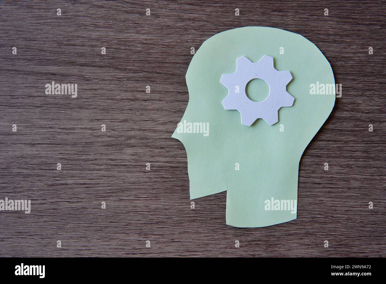 Human brain cut out hi-res stock photography and images - Alamy