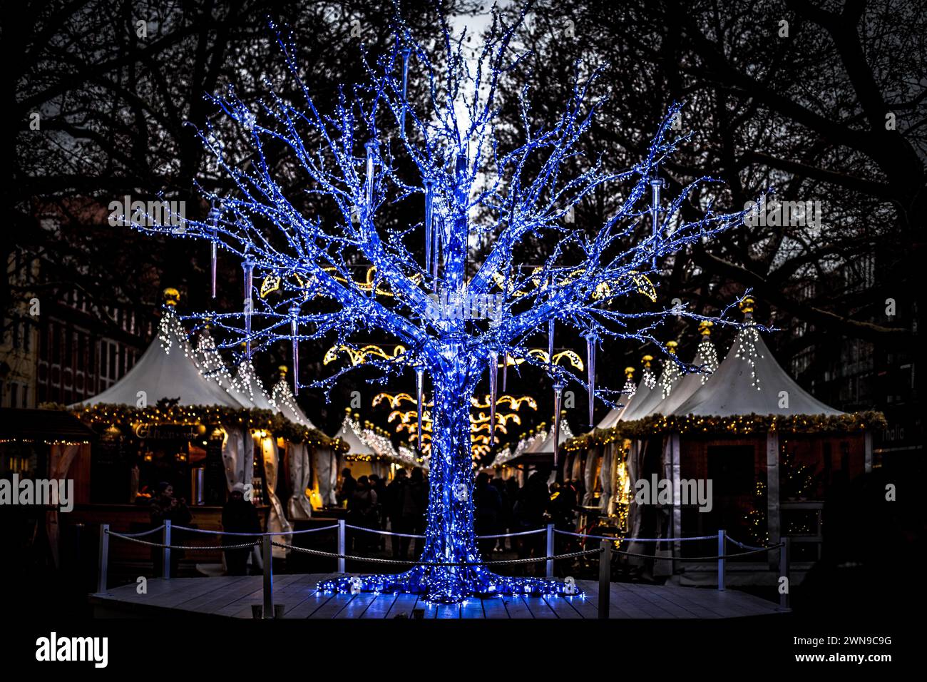 An artificial tree glows in dark blue LED lights at night, Dresden ...