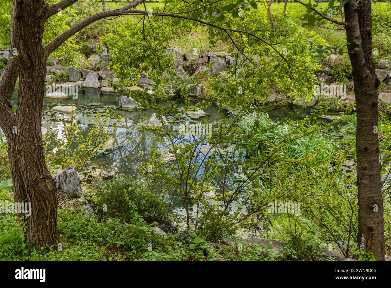 Man made tree environment hi-res stock photography and images - Alamy