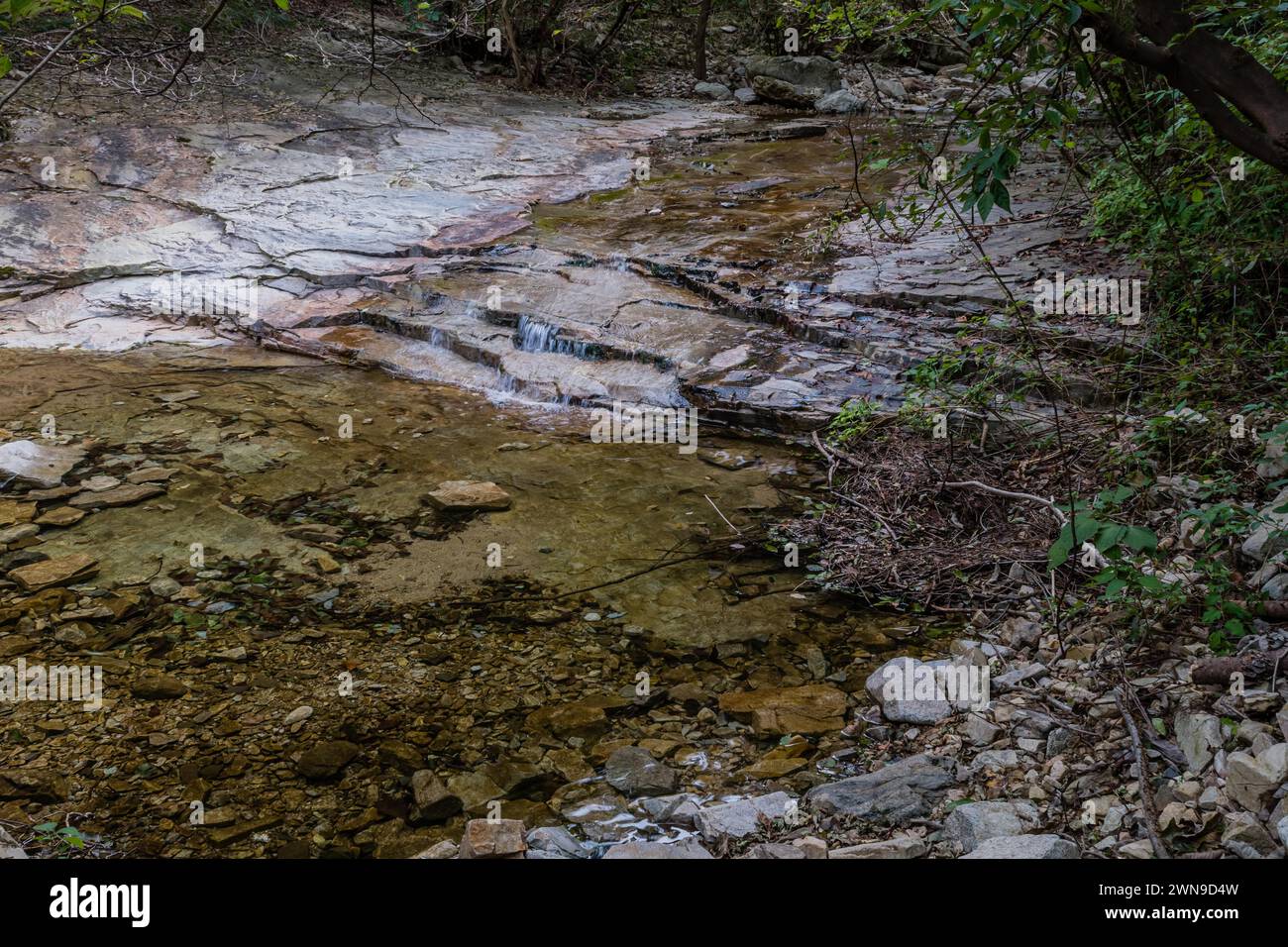 Shallow pool hi-res stock photography and images - Alamy